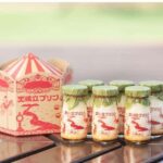 Amanohashidate: Ine Village Photo Safari with Boat Ride - Practical Details and Value