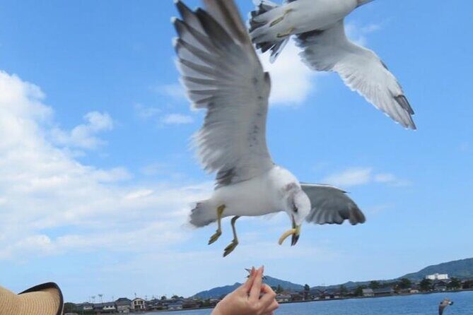 Amanohashidate & Miyama 1-Day Bus Tour: From Osaka/Kyoto w/ Lunch - Why This Tour Delivers Value