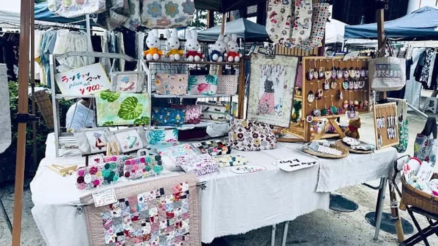 Amanohashidate: Sandbar Walk, Temple, and View Land Tour - Who Will Love This Tour?