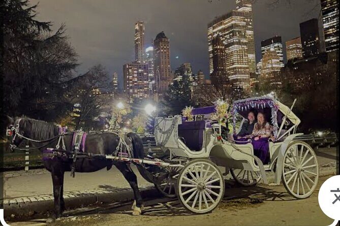 Amazing Horse and Carriage Rockefeller and Christmas lights tour - What’s Included and How It Enhances the Experience