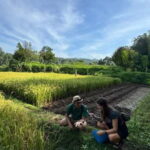 Amazing Murpeji Village West Lombok : Panoramic Walking Tour - FAQ