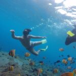 Amazing Nusa Penida Snorkeling Experience - The Itinerary in Detail