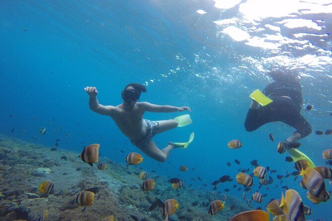 Amazing Nusa Penida Snorkeling Experience - The Itinerary in Detail