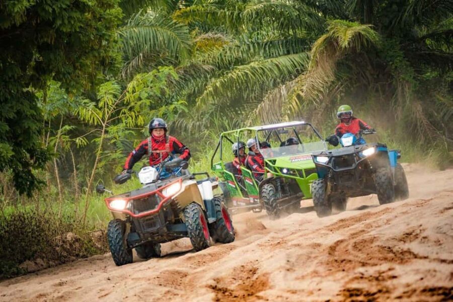 Amber Cove and Taino Bay Shore Excursion: Buggy Tour - What to Expect During the Day