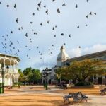 Amber cove Shore Excursion Puerto Plata - What Travelers Say