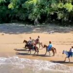 AMBER COVE-TAINO BAY Horses Beach Ride & City Sightseeing - Practical Tips for Participants