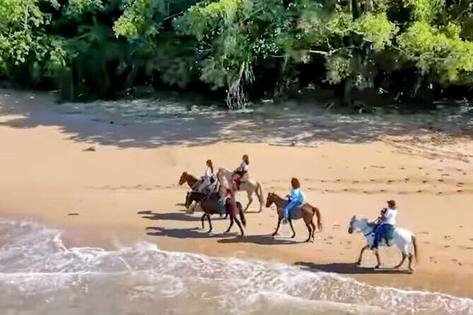 AMBER COVE-TAINO BAY Horses Beach Ride & City Sightseeing - Practical Tips for Participants