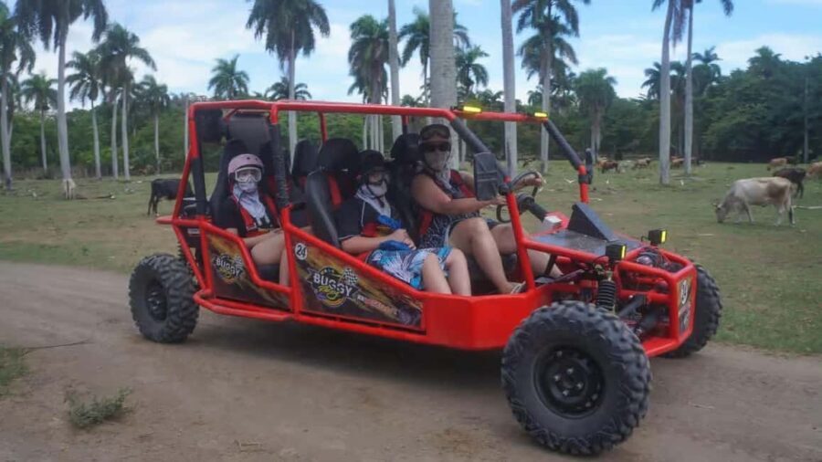 Amber Cove/Taino Bay: Super Buggy Tour - Practical Considerations and Tips