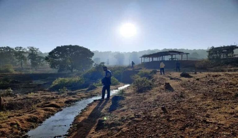 Ambikapur Same-Day Tour: Temples, Caves & Tribal Trails - Considering the Value