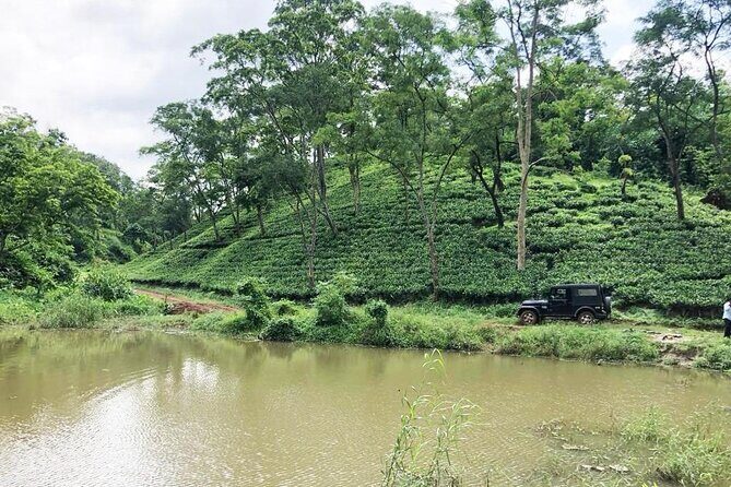 Amchong Tea Estate + Factory Visit (with Hi-tea only) - An In-Depth Look at the Tour Experience