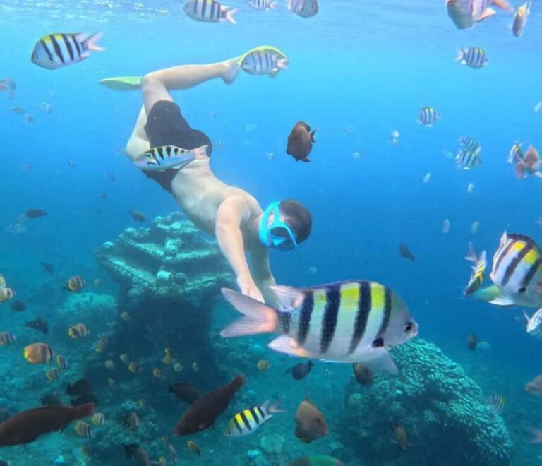 Amed: Snorkeling Trip by Traditional Jukung Boat - Why This Tour Offers Great Value