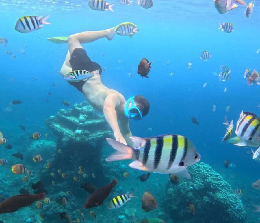 Amed: Snorkeling Trip by Traditional Jukung Boat - Why This Tour Offers Great Value