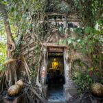 Amphawa & Railway Market & Boat Ride: from BKK - What to Expect: A Deep Dive into the Day