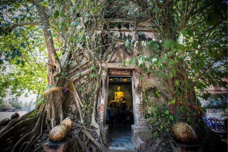 Amphawa & Railway Market & Boat Ride: from BKK - What to Expect: A Deep Dive into the Day