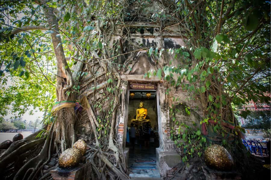 Amphawa & Railway Market & Boat Ride: from BKK - What to Expect: A Deep Dive into the Day