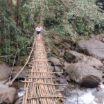 Anakulam Wild elephant Visiting & Tribal village 4*4 Ride - What the Tour Offers: A Deep Dive into the Experience