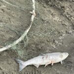 Anchorage discovery tour - What Makes This Tour Worthwhile?