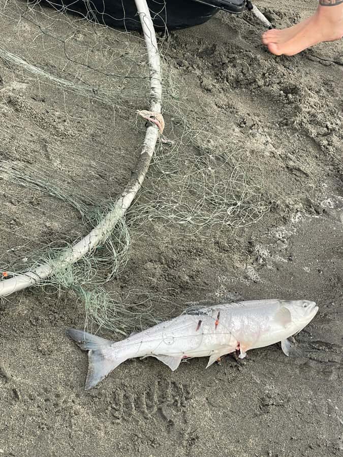 Anchorage discovery tour - What Makes This Tour Worthwhile?