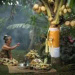 Ancient Penglipuran Village and Bamboo Forest Trekking - Practical Details and What to Expect