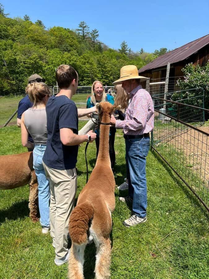 Andover, VT: Alpaca Interaction and Walk Experience - FAQ