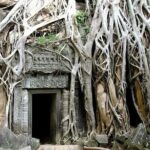 Angkor Wat Full-Day Private Tour  Bayon & Ta Prohm Highlights - Transportation, Timing, and Comfort