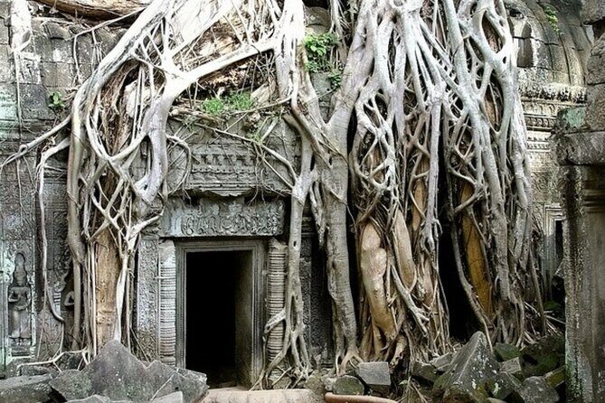 Angkor Wat Full-Day Private Tour  Bayon & Ta Prohm Highlights - Transportation, Timing, and Comfort