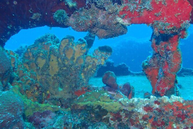 Anguilla Based: 2-Tank Group Dive Experience for Certified Divers - The Dive Itinerary: What You Can Expect