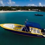 Anguilla Based: 3-Hr Group Sightseeing & Snorkel Trip - The Value and Practicalities