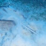 Anguilla Based: PADI Discover Scuba (Introductory Dive) - Why This Tour Offers Good Value