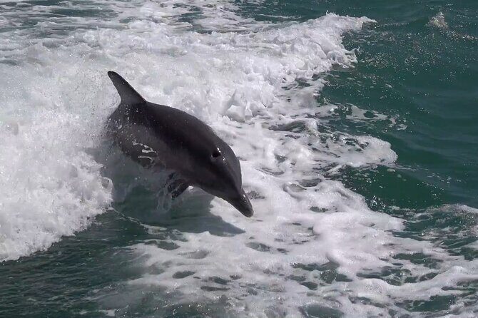 Anna Maria Island Build your own adventure 6 hour - FAQs