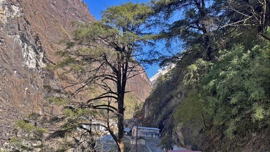 Annapurna: North ABC Trekking - The Experience of Camping in the Himalayas