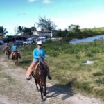 Antigua: Horseback Riding at Royalton or Dickenson Bay - Why This Tour Stands Out