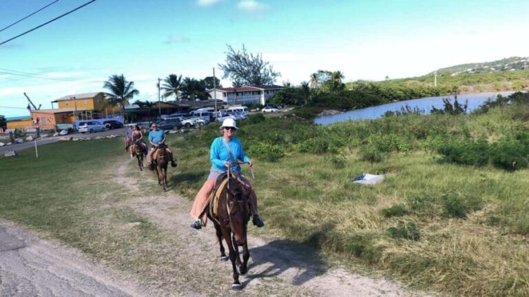 Antigua: Horseback Riding at Royalton or Dickenson Bay - Why This Tour Stands Out