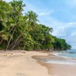 Antigua: Land Beach Hopping Tour - What Makes This Tour Special