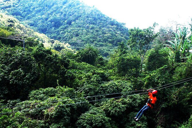 Antigua Zipline Canopy Adventure from St Johns - Final Thoughts: Who Will Love This Tour?