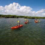 Antigua Zipline & Kayaking Combo From St. John's - Detailed Breakdown of the Itinerary