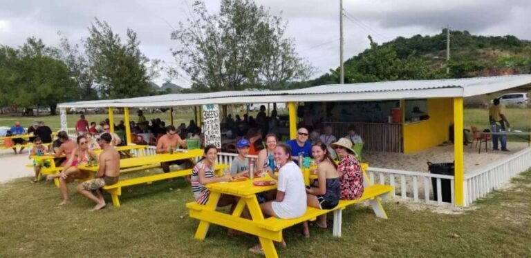 Antiguan experience home tour with local guide with lunch - Who Is This Tour Best For?