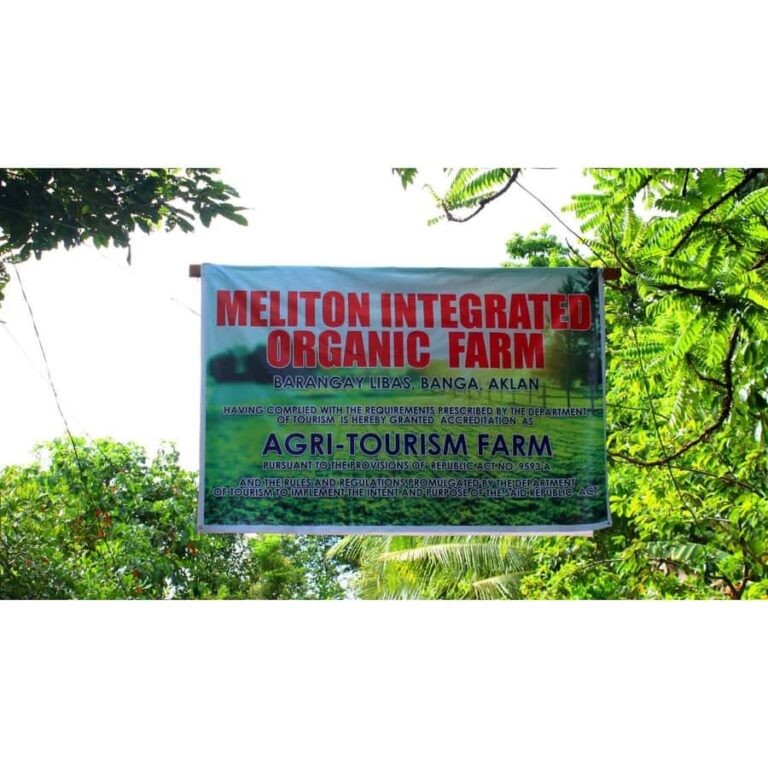 Antique Banga & Balete Tour - What to Expect and Practical Tips