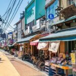 Anywhere you like! Tokyo Customized Tour in 3 hours - Why Choose This Tour?