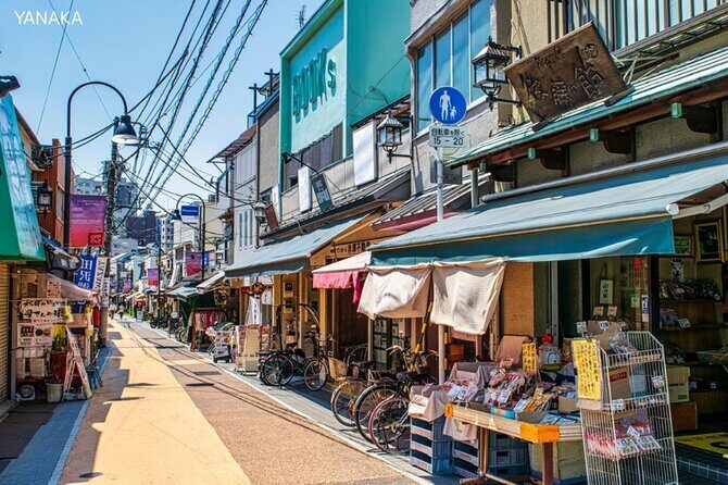 Anywhere you like! Tokyo Customized Tour in 3 hours - Why Choose This Tour?