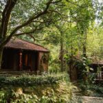 Ao Dai Photoshoot and Son Tra Cultural Tour - Practicalities and Value