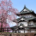 Aomori: Hirosaki Private Shore Excursion for cruise guest - What Makes This Tour Stand Out