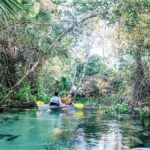 Apopka: Rock Springs Clear Kayak Tour - The Sum Up