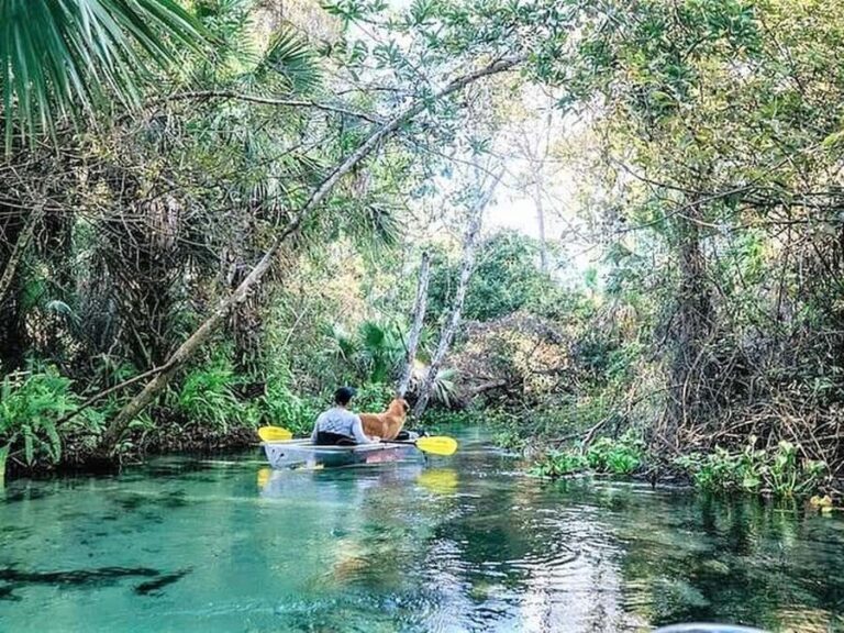 Apopka: Rock Springs Clear Kayak Tour - The Sum Up