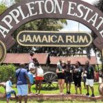Appleton Estate Rum Factory And YS Falls Inclusive Tours From Montego Bay - Overview of the Tour Experience