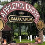 Appleton Estate Rum Tasting and YS Falls - What Reviewers Say