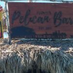 Appleton Estate Rum Tour and Pelican Bar Customize Tour - Who Will Love This Tour?