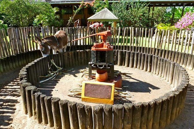 Appleton Estate Rum Tour and Tasting from Falmouth - Transportation and Convenience