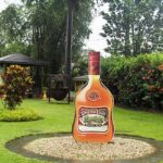 Appleton Estate Rum Tour: Full Day from Montego Bay - The Sum Up
