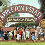 Appleton Estate, Ys Falls and Black River Safari Private Tour - The Comfort and Convenience Factor